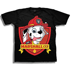 Nickelodeon baby boys Paw Patrol Marshall 03 Tshirt Maternity Blouse, Black, 4T US