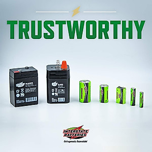 Interstate Batteries AAA Alkaline Battery (24 Pack) All-Purpose 1.5V High Performance Batteries - Workaholic (DRY0075)
