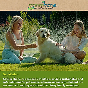 Greenbone Wonderpet! Pull n Play Tennis Ball Toys - Medium Size Dogs