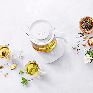 ZWILLING Enfinigy Glass Kettle 1.7L, Tea Kettle, 6 Preset Temps for the Perfect Cup, Tea Timer, Silver