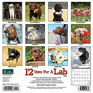 12 Uses for a Lab 2021 Wall Calendar (Dog Breed Calendar)