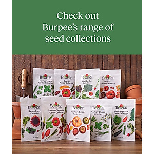 Burpee Salad Garden Collection 10 Packets of Non-GMO 4 Lettuce Varieties Tomato, Radish, Spinach, Kale, Scallions & Mesclun Mix | Seeds for Planting Vegetables