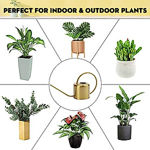 Remiawy Watering Can Indoor Outdoor Stainless Steel Watering Cans for House Plants Long Spout Water Can for Succulent Bonsai Garden Flower(40oz/1300ml)