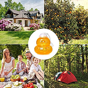 2 Pack Wasp Trap Outdoor Hanging, Bee Trap for Outside, Hornet Traps, Carpenter Bee & Yellow Jacket Killer for Garden, Insect Traps for Flies and Bugs