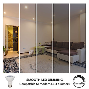 Simba Lighting LED PAR20 Light Bulb 6W 38deg Spotlight Dimmable (4-Pack) for Indoor Recessed Can, Range Hood and Outdoor PAR 20, 120V E26 Base, 40W to 50W Halogen Replacement, 3000K Soft White