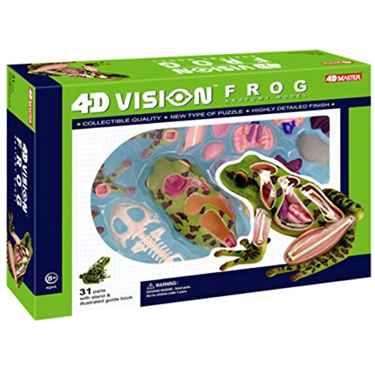 TEDCO 4D Vision Frog Anatomy Model