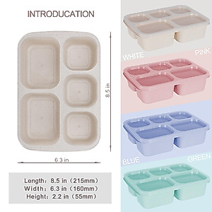 Bento Box Adult Lunch Box, 4 Pack Lunchable Containers for Adults with 5 Compartments, Meal Prep Containers Reusable for Kids, Food Storage Snack Containers for School, Work, Travel