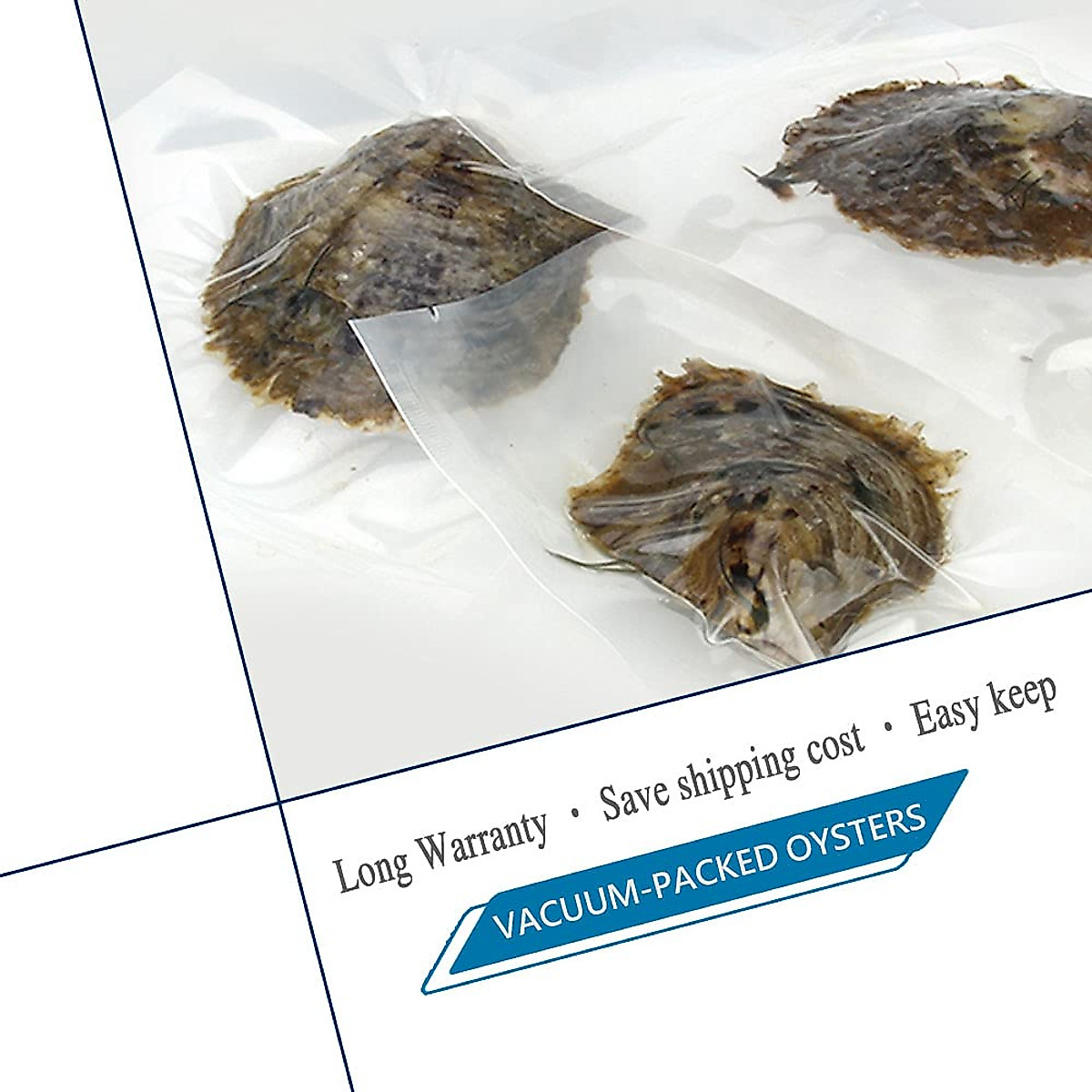 LGSY 7-8mm Mixed Colored Akoya Saltwater Cultured Pearl Oysters for DIY Jewelry Making, Pack of 5Pcs(White, Pink, Purple, Black)