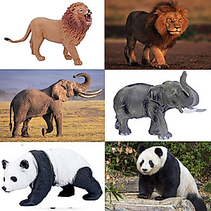 BOLZRA Safari Animals Figures Toys, Realistic Jumbo Wild Zoo Animals Figurines Plastic African Jungle Animals Playset for Kids Toddlers, 14 Piece Gift Set