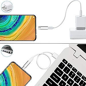 ARKTEK USB-C Adapter i OS Lighting Cable (Female) to USB Type C (Male) - Charging Adapter with 56K Resistor, Compatible for Galaxy S20 Note 10 Pixel 4 and More, Sivler Aluminum (4 Pack)