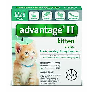 Advantage II 4pk Kitten Under 5lbs