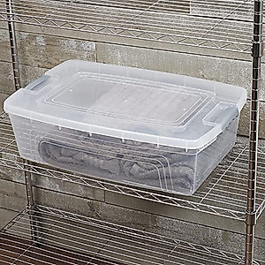 Home Basics Plastic Storage Box With Handle, Clear | Locking Tabs | Stackable Storage | Easily See Contents (30 Liter Rectangle)