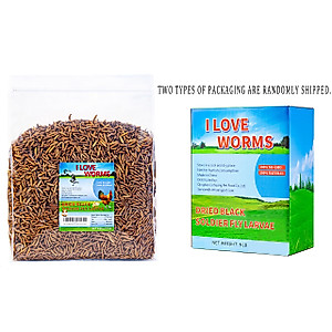 I LOVE WORMS Dried Black Soldier Fly Larvae (5lb), 100% Natural Non-GMO, Treat for Chickens, More Calcium Chicken Feed Than Mealworms
