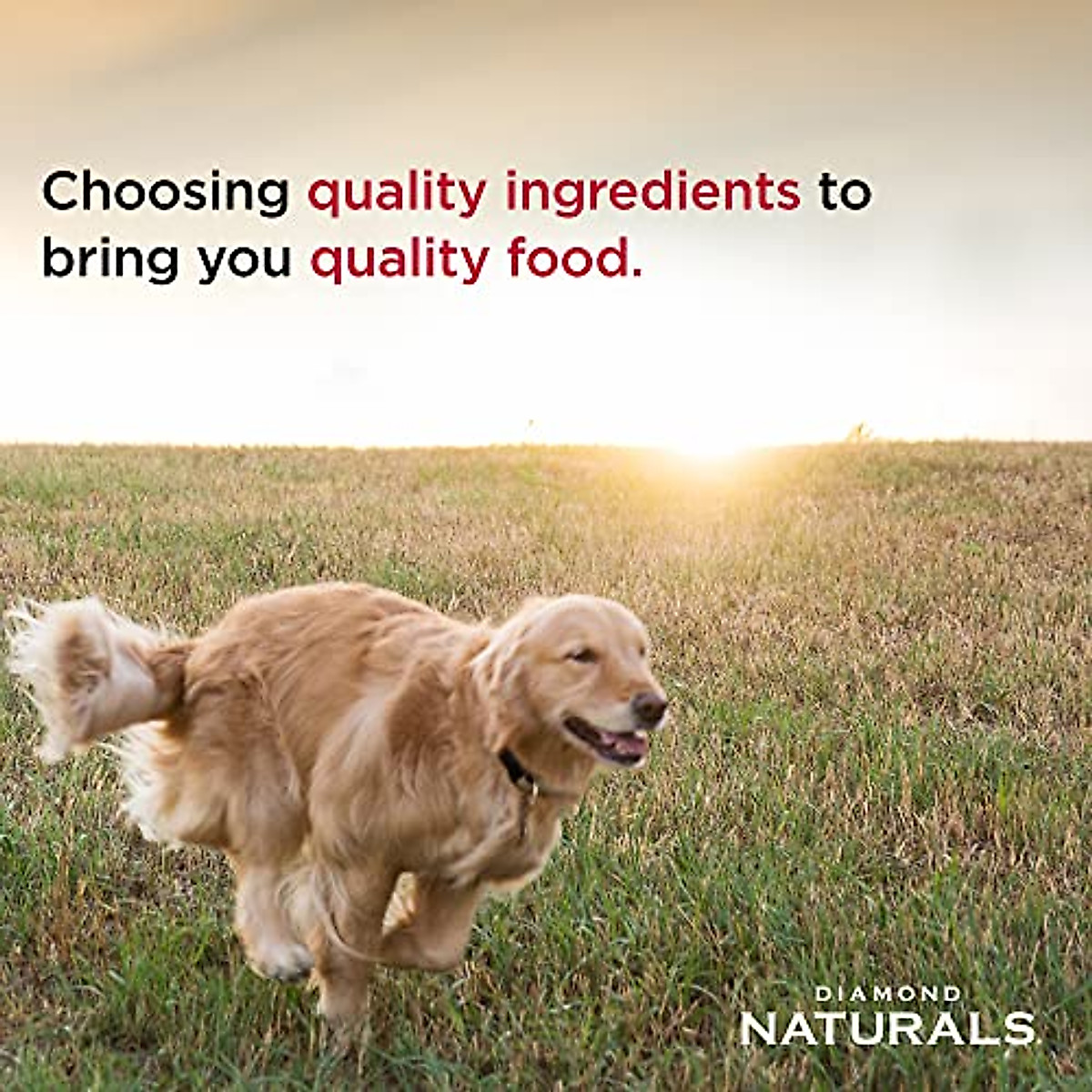 Diamond Naturals Beef Dinner Can Dog 12/13.2oz