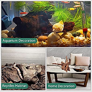PINVNBY Natural Aquarium Driftwood Assorted Branches Reptile Ornament for Fish Tank Decoration Pack of 3