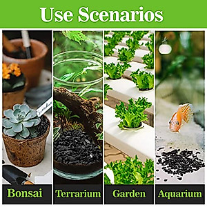 Sukh Horticultural Charcoal for Plants - 1Qt. Natural Earth Regulated Supplement for Potting Soil Indoor Plants, Succulent Soil, Orchid Potting Soil, Paphiopedilum, Bonsai, Terrarium.