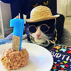 6 Pieces Pet Dog Cat Costume, Pet Sunglasses and Summer Pet Straw Hat with Faux Gold Chain Collar, Classic Funny Pet Accessories for Pet Cat Puppy Small Medium Dog Birthday Cosplay Party (Cute Style)