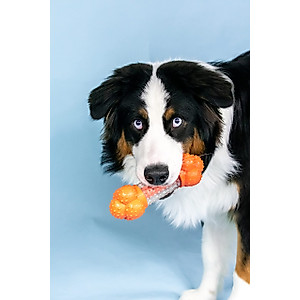 Nylabone Strong Chew Sneaky Snacker Treat Toy for Dogs, Interactive Dog Enrichment Chew Toys, Bacon Flavor, Large/Giant - Up to 50 lbs. (1 Count)