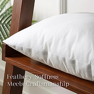 Phantoscope 18 x 18 Pillow Inserts, Set of 4 Hypoallergenic 100% Virgin Fiber Square Form Decorative Throw Pillow Inserts, Made in USA Couch Bed Pillows - 18 inches