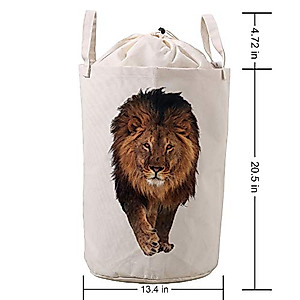 LifeCustomize Large Laundry Hamper Basket Lion Clothing Storage Bins Boxes Toy Organizer Foldable Waterproof Nursery Hamper with Handles