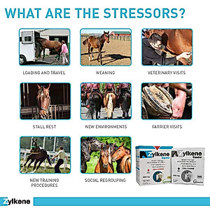 Vetoquinol Zylkene Equine Behavior Support Horse Supplement Powder 2000mg, 20ct