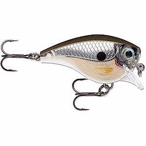 Rapala Balsa Xtreme Brat Hard Bait Lure, Freshwater, Size 06, 2" Length, 6' Depth, 3/8 oz, Pearl Gray Shine, Package of 1 (BXB06PGS)