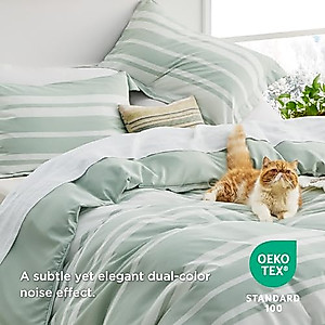 Bedsure Queen Duvet Cover Sage Green Striped - Super Soft Cationic Dyed Duvet Cover for Kids with Zipper Closure, 3 Pieces, No Comforter(90"x90")