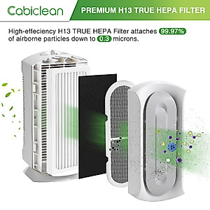 2 Pack 04383 True HEPA Replacement Filter Compatible with Hamilton Beach 04383 Air Purifier 04384 04385 04386A HEPA Filter Replacement, 99% HEPA-Grade filter, Replace Part # 990051000