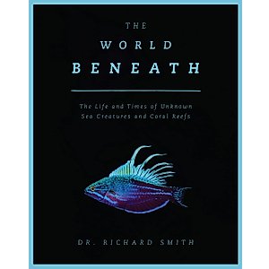 The World Beneath: The Life and Times of Unknown Sea Creatures and Coral Reefs
