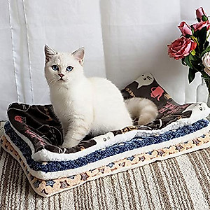 FJWYSANGU Pet Blanket Premium Fluffy Flannel Cushion Soft and Warm Mat for Dogs Cats Small Size Animal Blue Stars