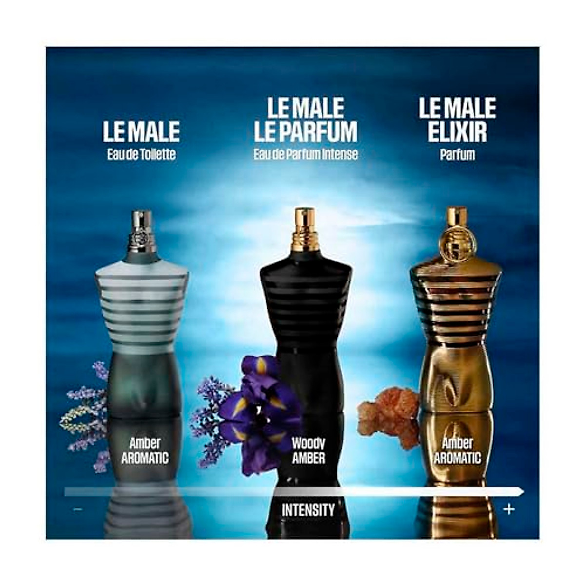 Le Male by Jean Paul Gaultier for Men - 2.5 Ounce EDT Spray