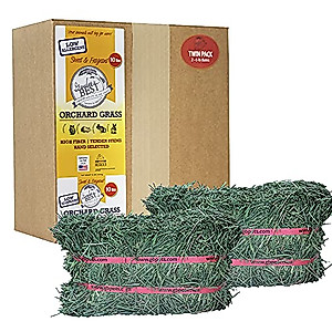 Grandpa's Best Orchard Grass Bale for Rabbits, Guinea Pigs, Chinchillas, Hamsters & Gerbils, 10 Lbs (Packaging may vary)