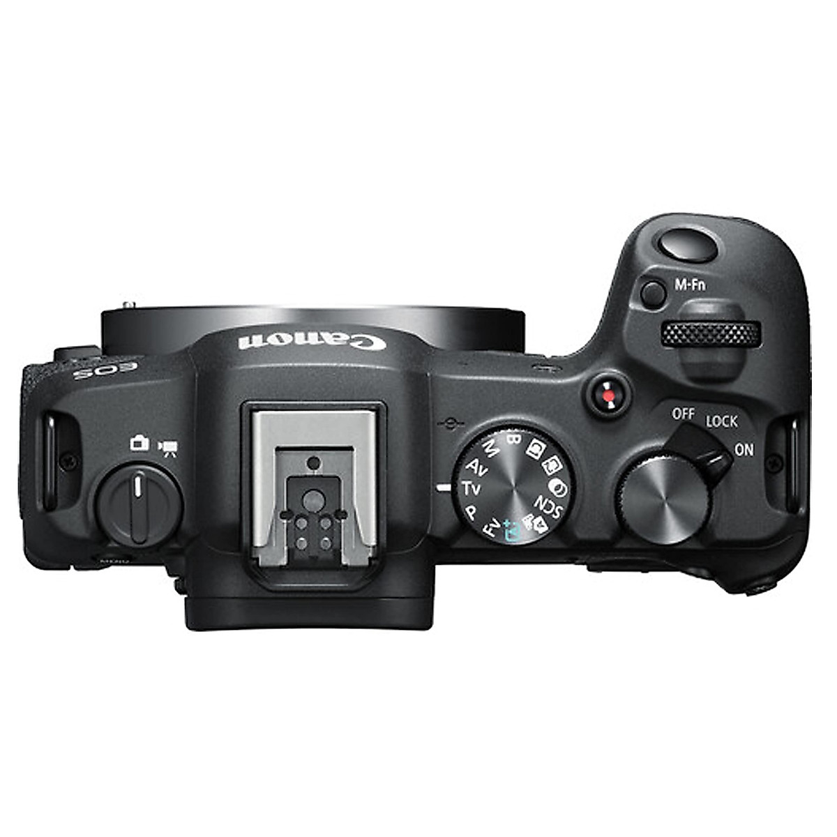 Canon EOS R8 Mirrorless with RF 24-50mm f/4.5-6.3 is STM Lens + 128GB Pro Speed Memory + Case + Tripod -Proffesional Bundle (Renewed)