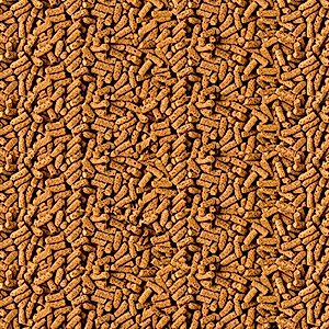 TetraPond Spring & Fall Diet Floating Pond Sticks, 1.72-Pound