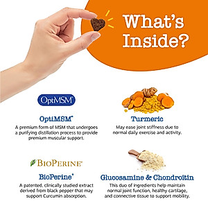 Zesty Paws Mobility Bites Joint Supplement for Dogs - Hip and Joint Chews for Dogs - Glucosamine for Dogs, Chondroitin, & MSM + Vitamins C and E for Dog Joint Relief - Adv Chicken - 60 Count