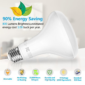 dalattin 12 Pack BR30 LED Bulbs 65W Equivalent, Dimmable Indoor Flood Lights 5000K Daylight White, 9W, 800 Lumens, E26 Base, LED Recessed Light Bulb for Living Room, Bedroom, Bathroom, Kitchen