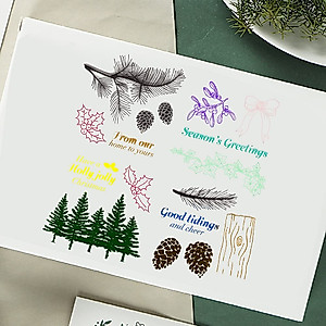 LANGFON Pine Trees Pine Cone Fruit Leaves Bowknot Clear Stamps for Card Making Decoration DIY Scrapbooking, Season Greeting Words Silicone Transparent Seal Stamps for Embossing Album Decor Craft