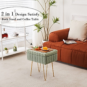 Wimarsbon Faux Mink Fur Storage Ottoman, Modern Soft Footstool, Storage Bench with Metal Legs, Vanity Seat, Fur Stool, Ottoman Coffee Table, Makeup Chair, Vanity Stools for Bedroom (Light Green)