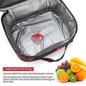 rickyh style Lunch Box with Padded Liner, Spacious Insulated Lunch Bag Durable Thermal Lunch Cooler Pack with Strap for Men Women Boys Girls Adults School Sports Beach Picnic Work Camp,2 Pocket