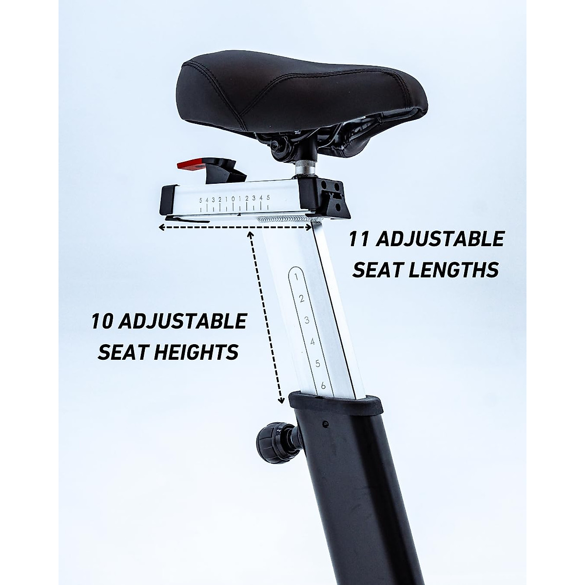 Fringe Sport Raptor Air Bike Classic, Adjustable Seat Fan Bike for Indoor and Outdoor-Exercise Bike with Arm Workout for Cardio Fitness, LCD and Phone Holder