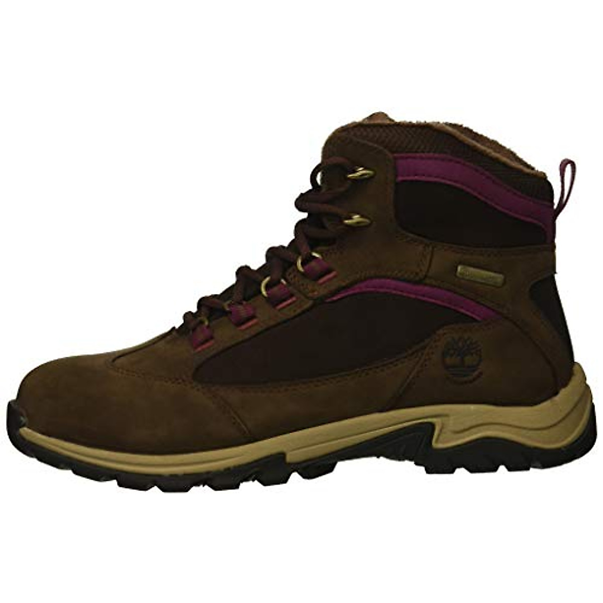 Timberland Women's MT. Maddsen Winter Waterproof Ins Hiking Boot, Dark Brown Nubuck, 9 M US