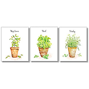 Kitchen Wall Art - Herbs Prints in Pots (Set of 7) - Farmhouse Decor - Unframed Botanical Prints (5x7)