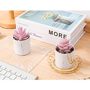 Der Rose Set of 2 Succulents Plants Artificial Mini Fake Succulents Plants for Office Desk Accessories for Women Pink Home Decor