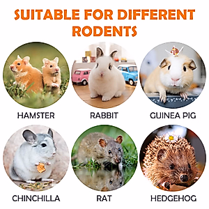 Sofier 32Pcs Timothy Hay Sticks 320g Rabbit Toys Bunny, Guinea Pig Toys Natural Hamster Toys for Teeth Handmade Treats and Chews Chinchilla Rat Gerbil