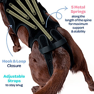 Labra Dog Canine K9 Back Brace - IVDD Spine Pain & Spinal Injury, Arthritis, Bulging Discs Brace for Corgis, Dachshund, Post Surgery Recovery, Rehab, Inflammation - Small