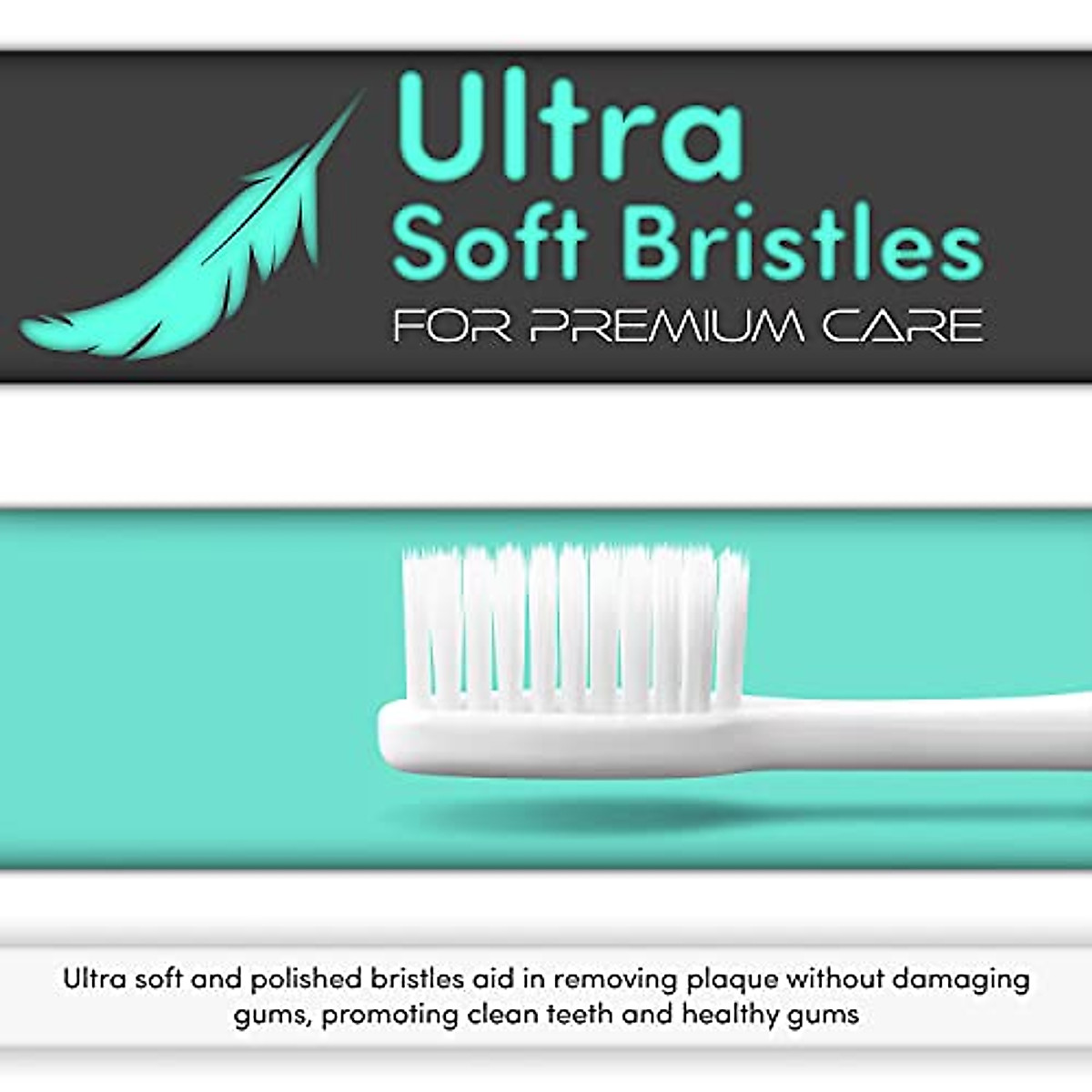 H&H Pets Dog Toothbrushes from Large to Small| Best Professional Dog Cat Toothbrush Series with Many Design & Size Options Breeds