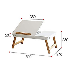 TREXD Solid Wood Computer Desk, Student Dormitory Laptop Computer Desk Bed Folding Lazy Reading Rack (Color : Blue)