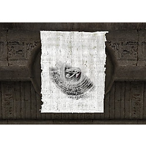 Tomb Raider Anniversary for wii (Renewed)