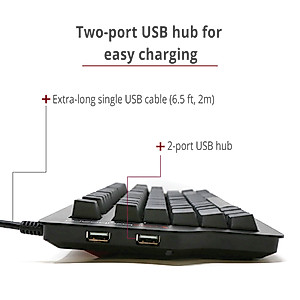 Das Keyboard 4C TKL Wired Tenkeyless Mechanical Keyboard, Cherry MX Brown Mechanical Switches, Premium PBT Keycaps, 2-Port USB Hub (87 Keys, Black Keyboard, Gray PBT Keycaps)