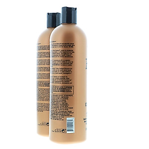 Bed Head Shampoo and Conditioner, Color Goddess, 25.36 Fl Oz (Pack of 2)